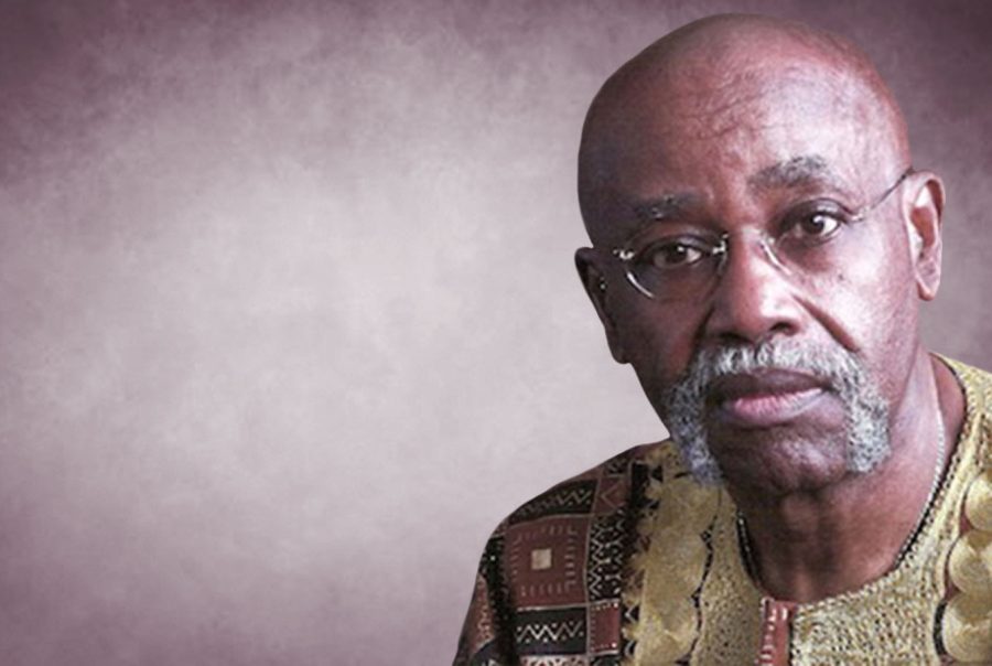 Institute of the Black World 21st Century (IBW, IBW21)