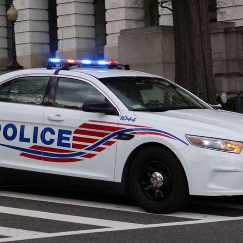 What Is The Difference Between ICE and Police?